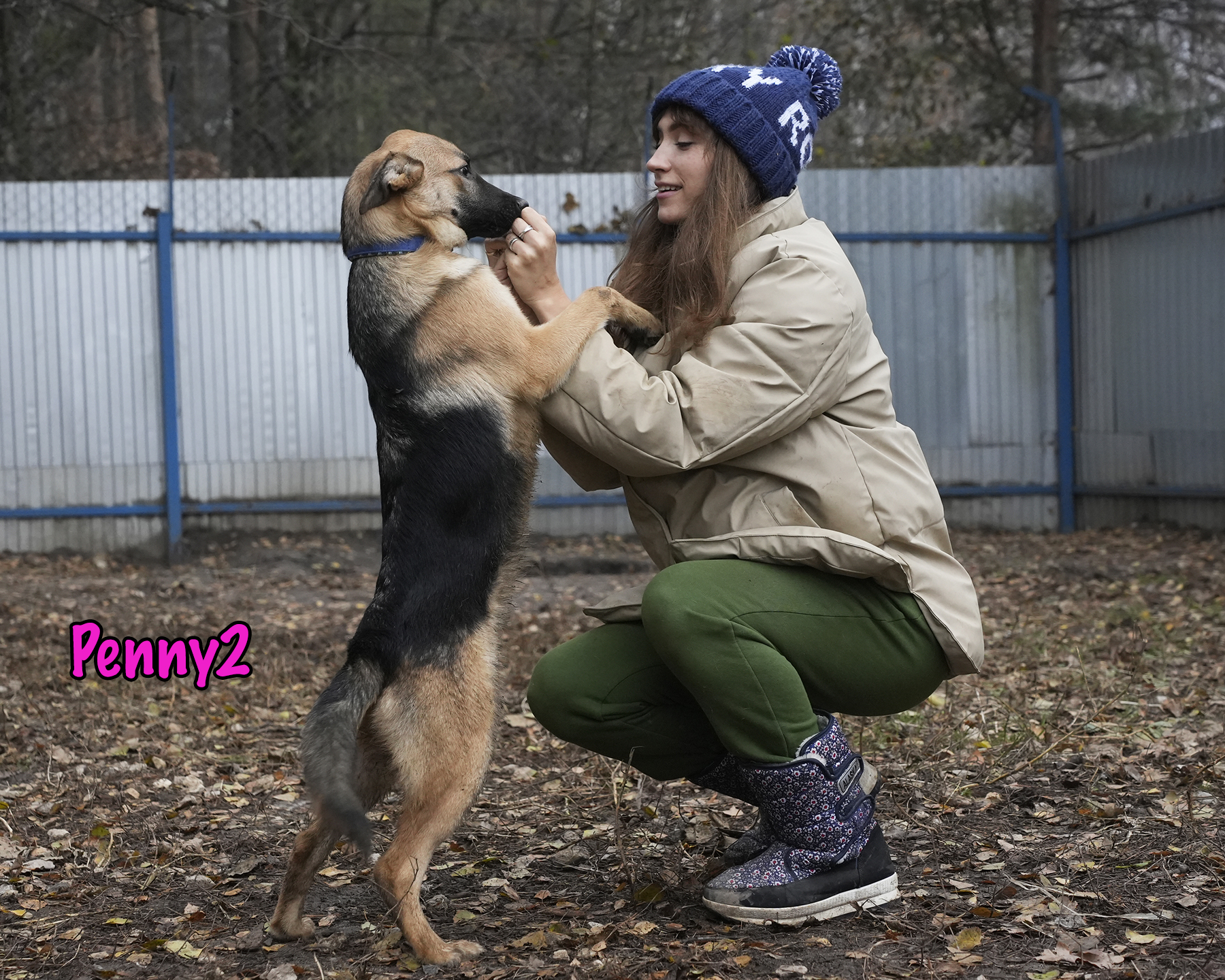 Penny2 » Tierschutzverein SOS-Dogs e.V.